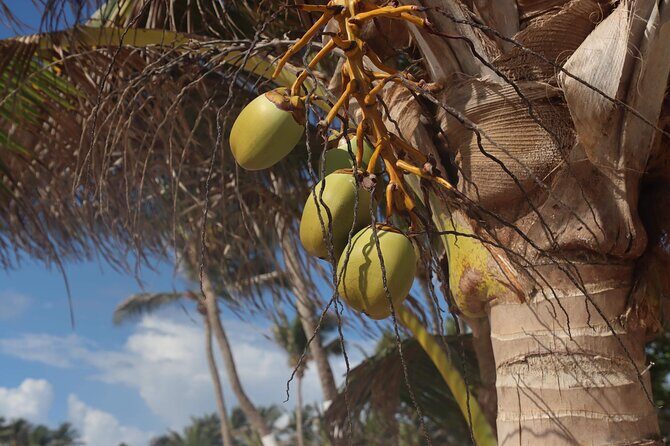 Hewanorra International Airport (UVF) Private St.Lucia Transfers. - FAQ