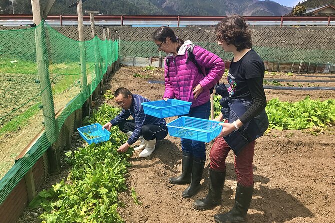 Hida Private E-Bike Tour With Premium Lunch and Farm Experience - Meeting Point and Pickup