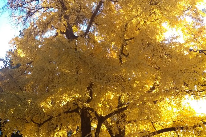 Hidden and Fascinating Verona - 3 Hour Private Walking Tour - Introducing Your Guide, Silvia