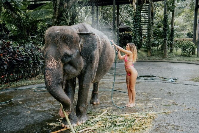 Hidden Bali Adventures - FAQ - Your Practical Questions Answered