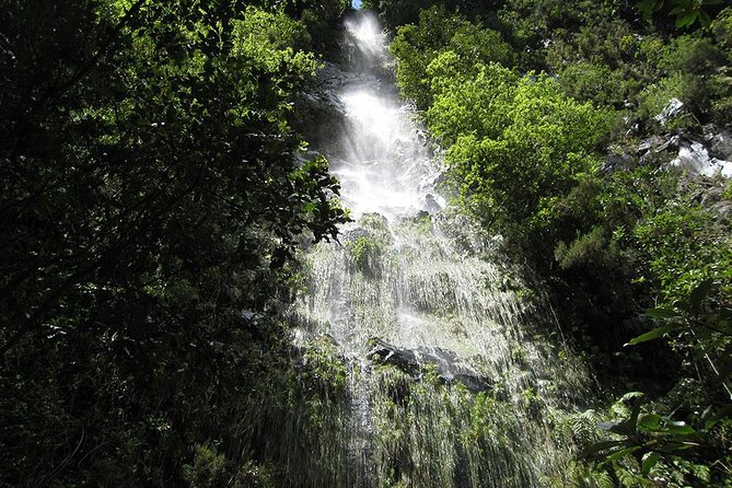 Hidden Corners: Levada Walk From Funchal - Encountering Madeiras Untouched Landscapes