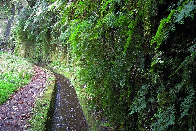 Hidden Corners: Levada Walk From Funchal - Discovering the Picturesque Waterfall