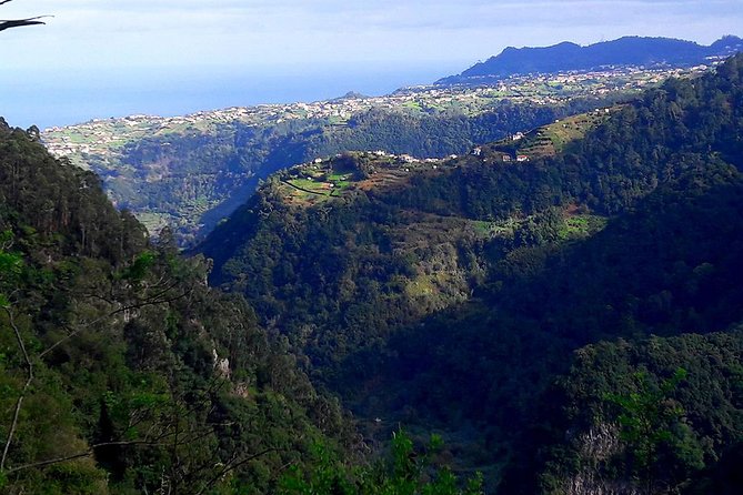Hidden Corners: Levada Walk From Funchal - Included Services and Logistics
