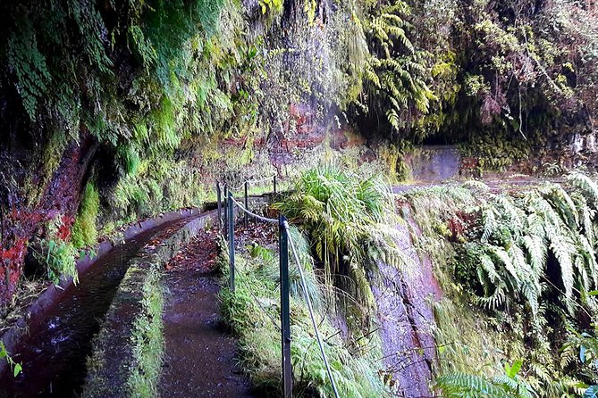 Hidden Corners: Levada Walk From Funchal - Requirements and Recommendations