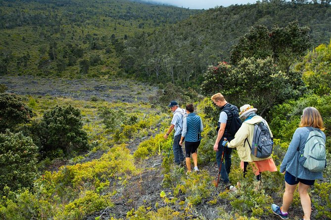 Hidden Craters Hike of Kona - Geology and Rock Formations