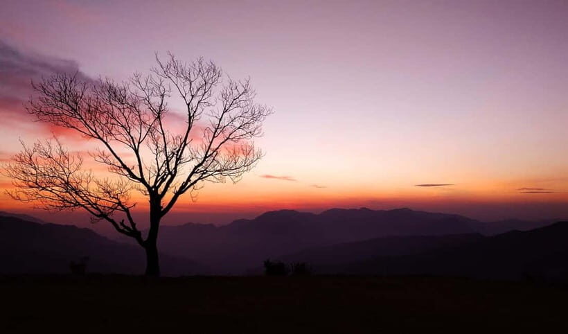 Hidden Gem of Mussoorie: Benog Hill Serenity Trek - An In-Depth Look at the Benog Hill Serenity Trek
