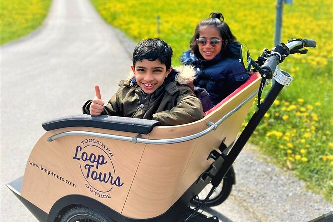 Hidden gems e-bike tour with picnic at Lake Brienz - Comparing the Experience to Other Activities