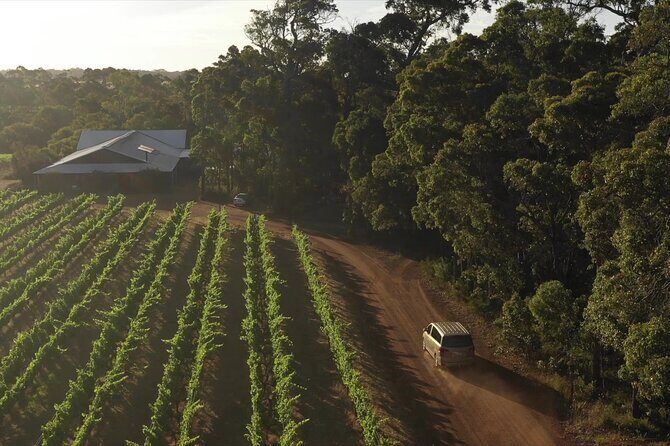 Hidden Gems: Full-Day Wine, Scones, Lunch and Local Produce Tour - The Value Proposition