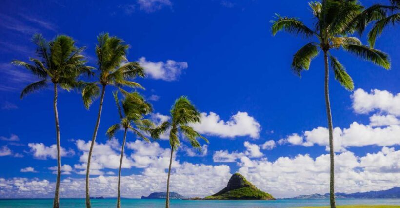Hidden Gems of Oahu Circle Island Tour with Byodo-In Temple - Who Will Love This Tour?