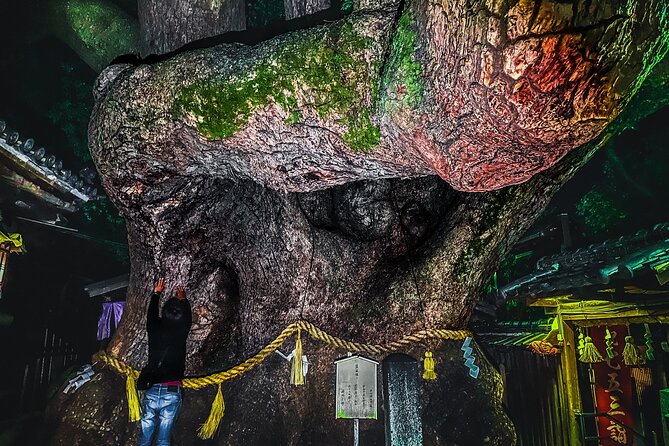 Hidden Gems of Osaka Kyoto Nara - Private Car Tour by Local Guide - Unique Cultural Experiences