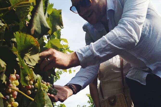 Hidden Gems of Sicily (pick up from Taormina) - FAQ