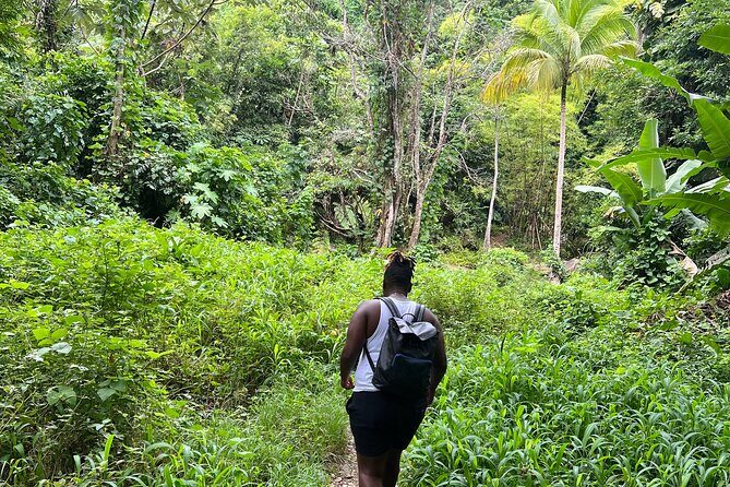 Hidden Gems Rainforest Adventure - Why This Tour Offers Real Value