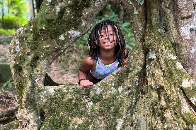 Hidden Gems Rainforest Adventure - Who Should Consider This Tour?