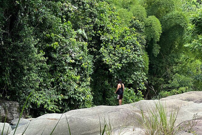 Hidden Gems Rainforest Adventure - The Sum Up