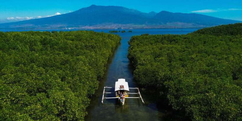Hidden Gili's Lombok Snorkeling Daily Tour - A Complete Look at the Hidden Gilis Lombok Snorkeling Daily Tour