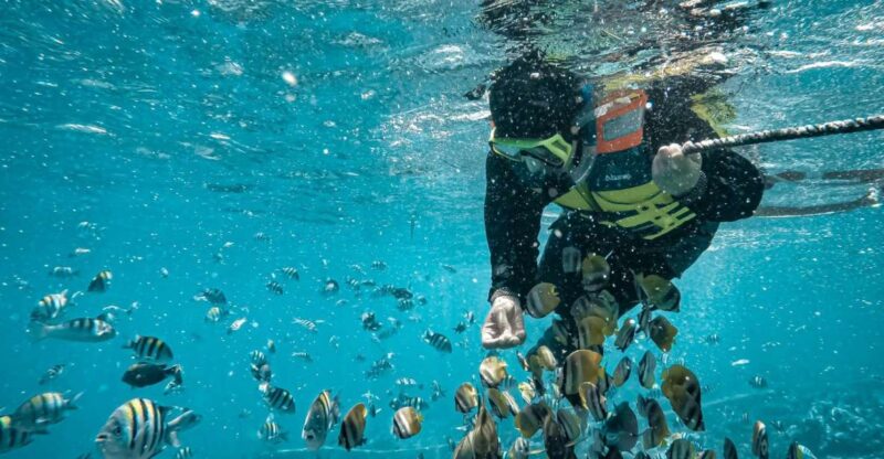 Hidden Gili's Lombok Snorkeling Daily Tour - The Sum Up: Who Will Love This Tour?