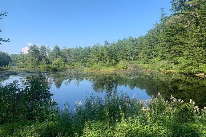Hidden Harbor E Bike Tour of Boothbay Harbor - The Balance of Scenic Beauty and Storytelling