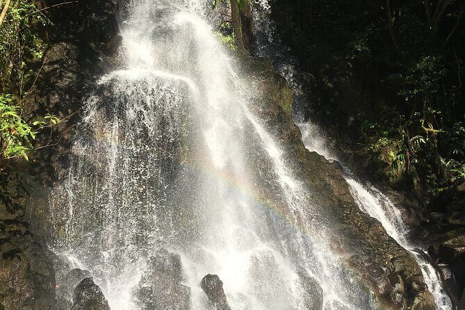 Hidden Hawaii Tours - Reviews and Guest Feedback