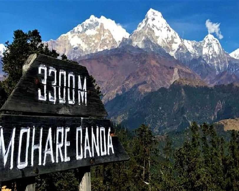Hidden Himalayas: 8-Day Mohare Danda Trek via Nagi Village - Key Points