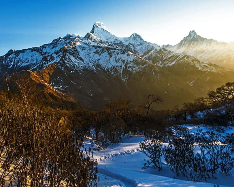 Hidden Himalayas: 8-Day Mohare Danda Trek via Nagi Village - Introduction: A Quiet Himalayan Treasure