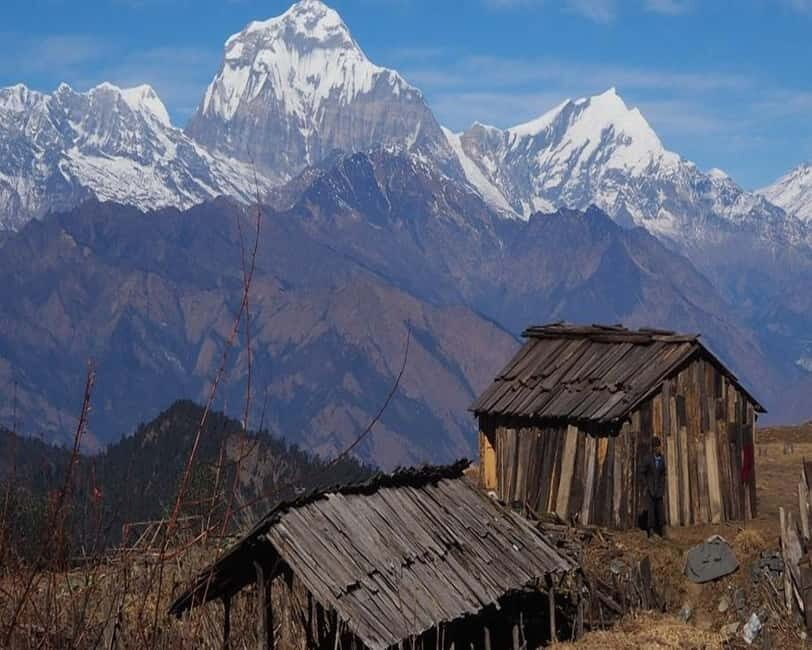 Hidden Himalayas: 8-Day Mohare Danda Trek via Nagi Village - The Scenic and Cultural Highlights