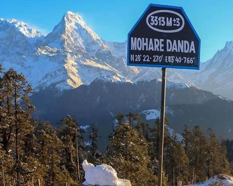 Hidden Himalayas: 8-Day Mohare Danda Trek via Nagi Village - The Sum Up
