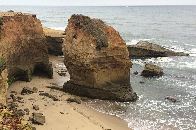 Hidden Nature Walks in the City Private Tour - Why This Tour Works for the Right Traveler
