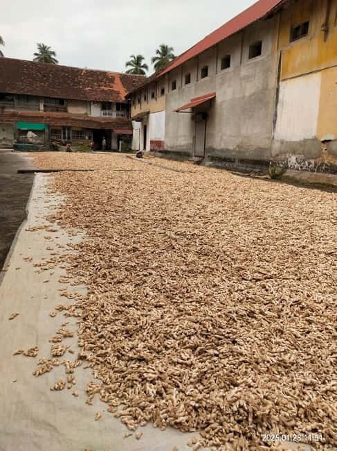 Hidden Tales of Old Kochi-Heritage Walk with a Local Insider - FAQ