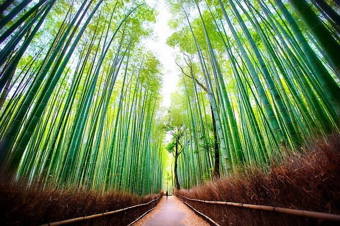 Hidden Temples in Kyoto a Self-Guided Zen Tour - FAQ: Your Questions Answered