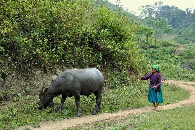 Hidden Trails Of Ba Be National Park 3 Days 2 Nights - The Sum Up