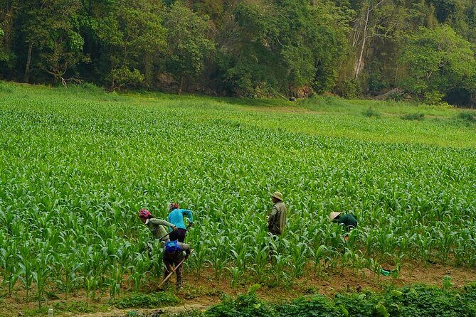 Hidden Trails Of Ba Be National Park 3 Days 2 Nights - FAQs