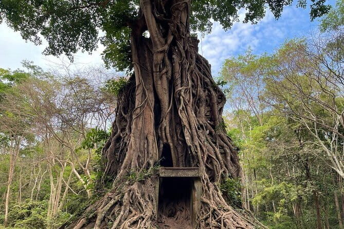"Hidden Treasures: Beng Mealea and Sambor Prei Kuk Temple tours - Exploring Cambodia’s Hidden Temples: The Journey with Marvel Angkor Tours