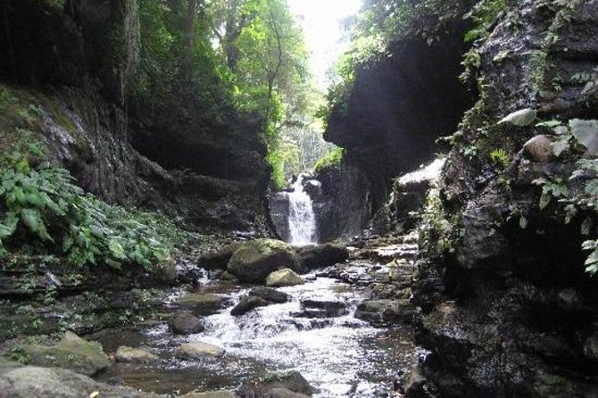 Hidden Valley Springs Resort Day Trip from Manila - Key Points