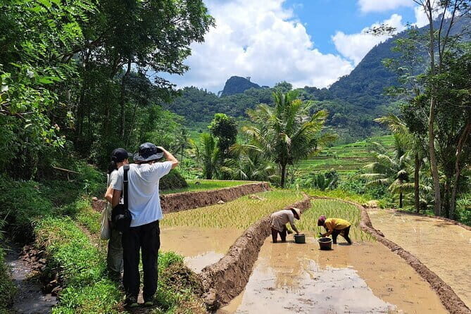 Hidden Waterfall & Selogriyo Rice Terraces Trek from Yogyakarta - Who Will Love This Tour?