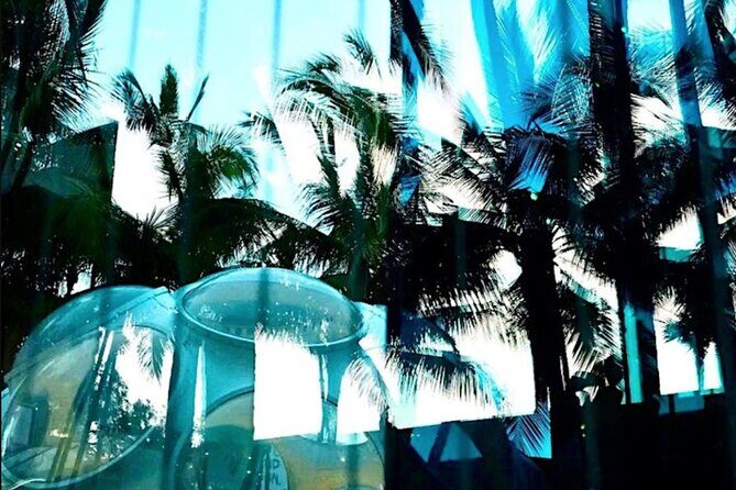 Hidden World of Miami Design District - FAQ