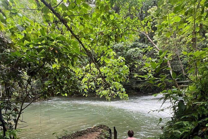Hideaway Island Combo Day Trip with Yumi Tours - Who Will Love This Tour?