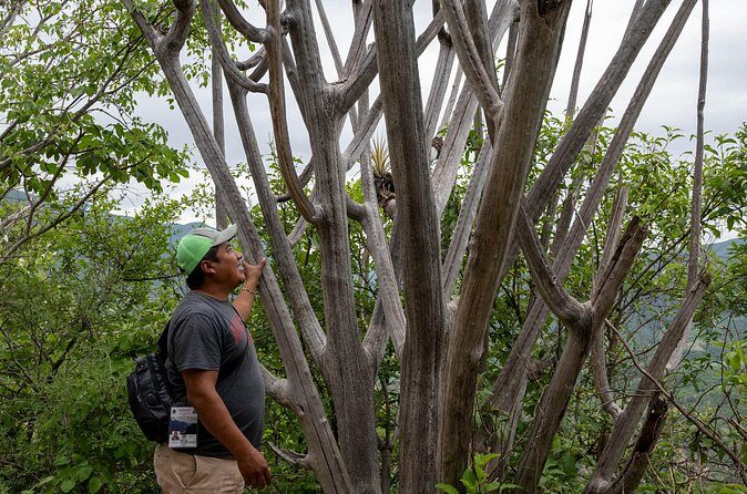 Hierve el Agua Half-Day: Early Access & Personal Guide + Pickup - The Experience in Context