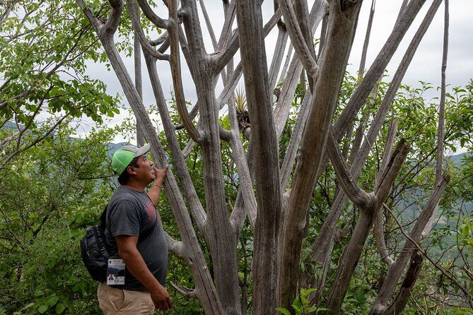 Hierve el Agua Half-Day: Early Access & Personal Guide + Pickup - The Sum Up: Who Will Love This Tour?