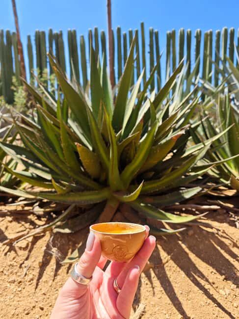 Hierve el Agua, Mitla, Tule, Teotilán and Mezcal factory - Authenticity and the Experience