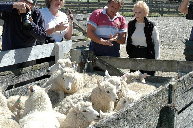 High Country Discovery Tour from Queenstown - FAQs