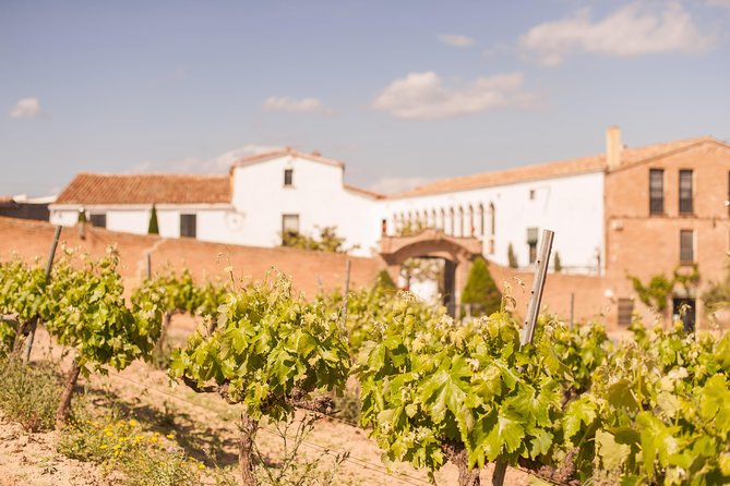 High-End Vineyard Escape: Cava, Tapas & Wine | Private Tour - Final Thoughts