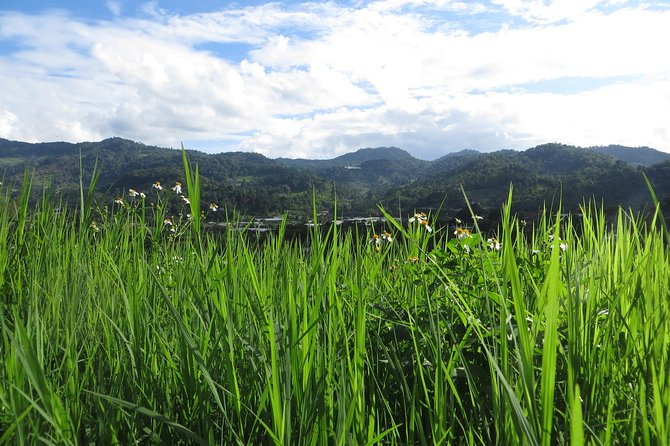 High Mountain Day Trek - The Food and Refreshments