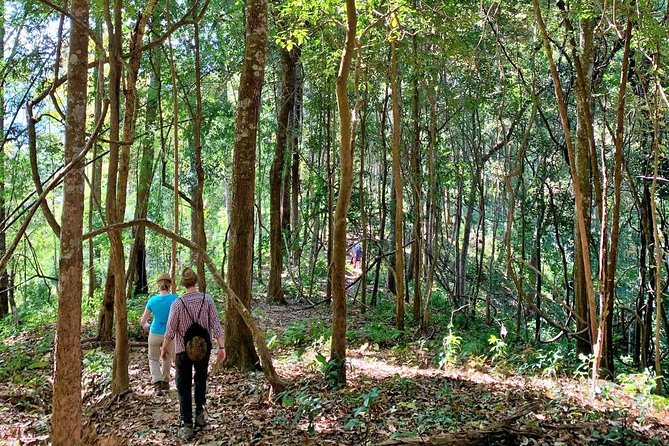 High Mountain Day Trek - Guides and Additional Inclusions