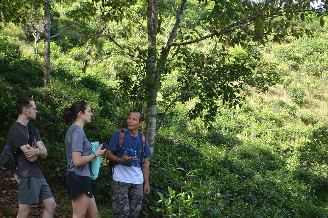 High Mountain Day Trek - Price and Value