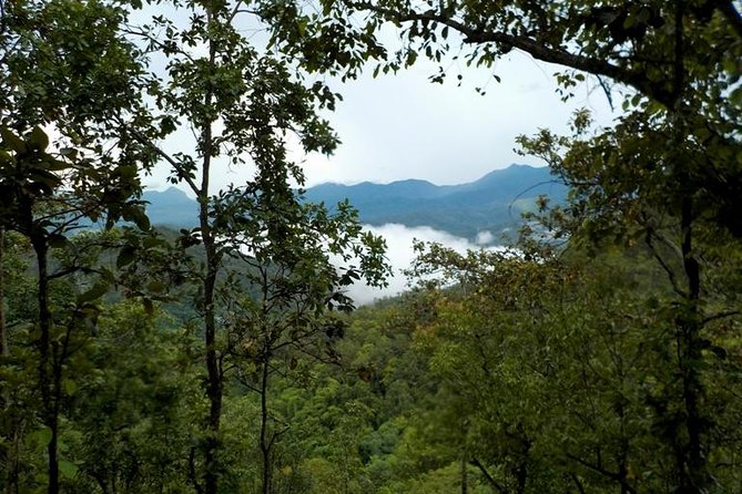 High Mountain Day Trek - Considerations and Tips