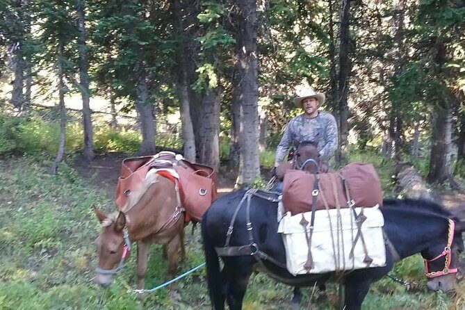 High Mountain scenic trail rides in the Teton Range - Why We Think This Tour Is Worth Considering