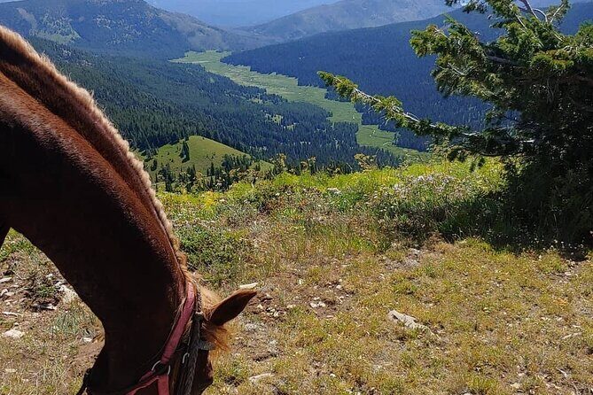 High Mountain scenic trail rides in the Teton Range - Who Should Book This Tour?