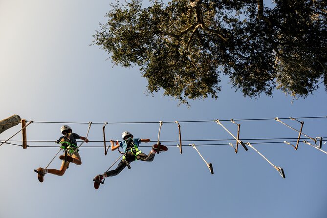 High Ropes Adventure Course Near Santa Barbara - Overview of the High Ropes Adventure Course