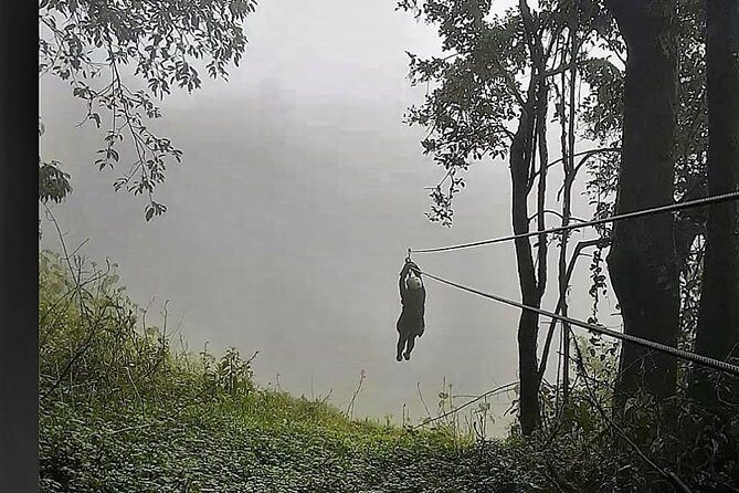 High Ropes Course in Madikeri - An In-Depth Look at the High Ropes Experience