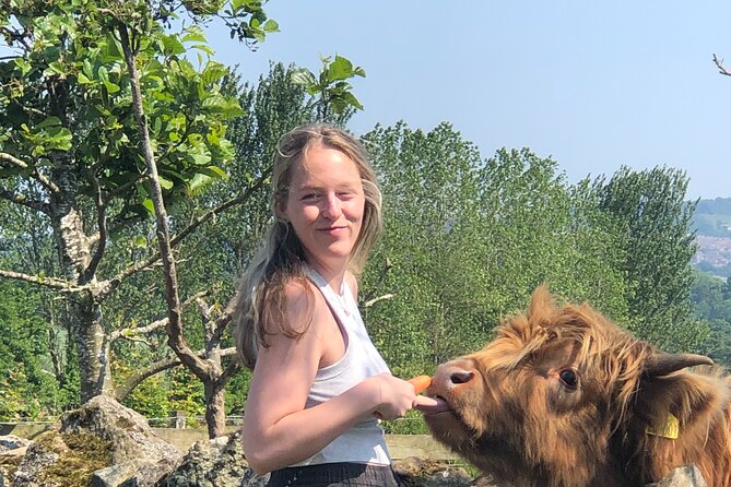 Highland Cows, Walk Alpacas & Visit a Scottish Wildlife Centre - What Travelers Are Saying